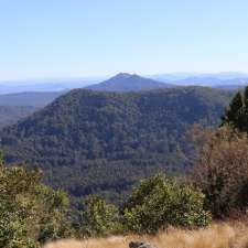 Mount Royal National Park - Mount Royal NSW 2330, Australia