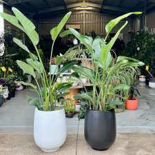 Indoor Blooms - 100 McIntosh Rd, Little River VIC 3211, Australia