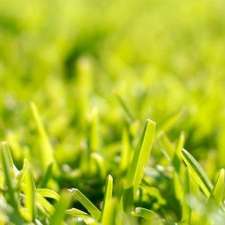 Turf Central - 137 Dunnrock Rd, Chelona QLD 4740, Australia