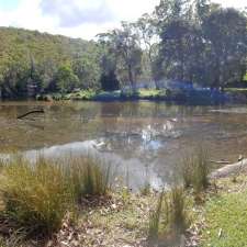 Wattle Forest - Royal National Park NSW 2233, Australia
