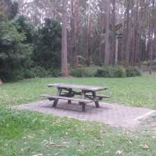 Bongil Picnic Area - Bundagen NSW 2450, Australia
