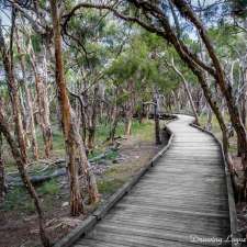 Purga Nature Reserve - 840 Middle Rd, Purga QLD 4306, Australia