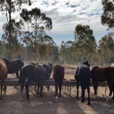 Vinoli Farm - 285 Dorset Rd, Northwood VIC 3660, Australia