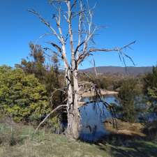 Bullen Range Nature Reserve - Paddys River ACT 2620, Australia