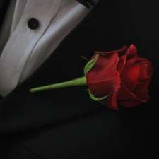 LISA HOFFLER CELEBRANCY - Billabong Pl, Mapleton QLD 4560, Australia