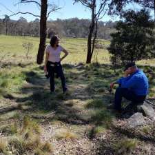 Badja Swamps Nature Reserve - Badja NSW 2630, Australia