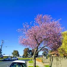 Wareena Park - Swan St, Wangaratta VIC 3677, Australia