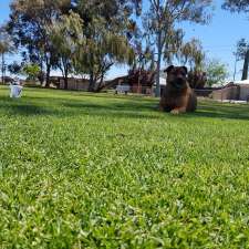 Matheson Reserve - Findon SA 5023, Australia