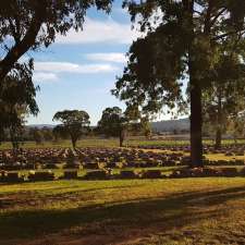 Cootamundra Cemetery - Olympic Hwy, Cootamundra NSW 2590, Australia