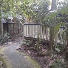 The Settlement Camping Area - Carricks Rd, Springbrook QLD 4213, Australia