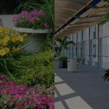 APEX PLANTS - 49 Ruttleys Rd, Wyee NSW 2259, Australia