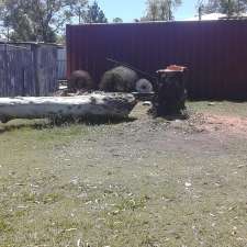 Goombungee Primary - 52 Mocatta St, Goombungee QLD 4354, Australia