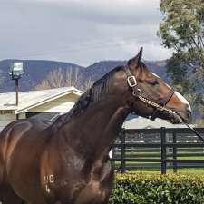 Widden Stud - Widden Valley Rd, Widden NSW 2328, Australia