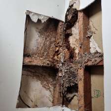 TNT Pest Control - 20-22 Gheko Ridge Rd, Elimbah QLD 4516, Australia