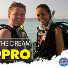 Dive2go - 12 Essen Pl, Oxenford QLD 4210, Australia