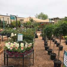 The Springs Garden World - 333 Spring St, Kearneys Spring QLD 4350 ...