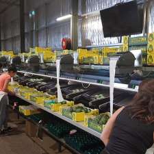 Bendotti Avocado - 243 Golf Links Rd, Pemberton WA 6260, Australia