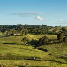 Dr Shane Prodger - Northern Rivers Orthopaedics - 90 Uralba St, Lismore ...