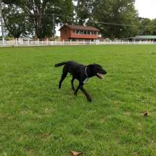 Guyra Showground - 27 Marne St, Guyra NSW 2365, Australia