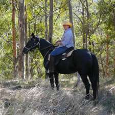 TRANSEQ Horse Transport - 72 Lahey Rd, Tamborine Mountain QLD 4272 ...