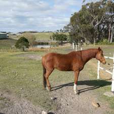 Darkes Forest Riding Ranch - 448 Darkes Forest Rd, Darkes Forest NSW ...