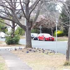 Malkara School - 53 Wisdom St, Garran ACT 2605, Australia