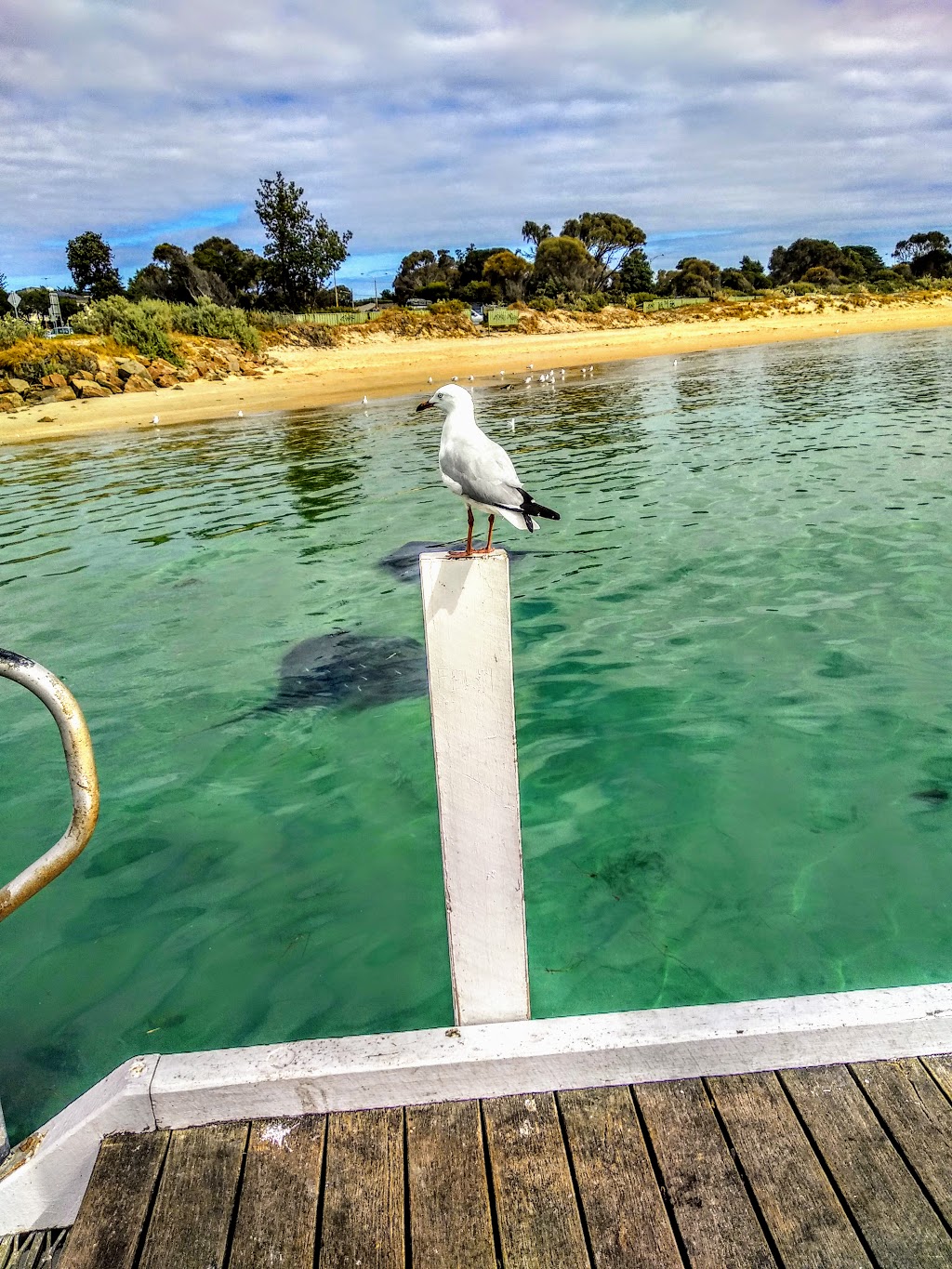Rye Boat Ramp - Bay Trail, Victoria, Australia